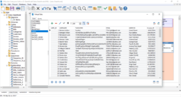 ERBuilder Data Modeler | Best data modeling solution - Softbuilder